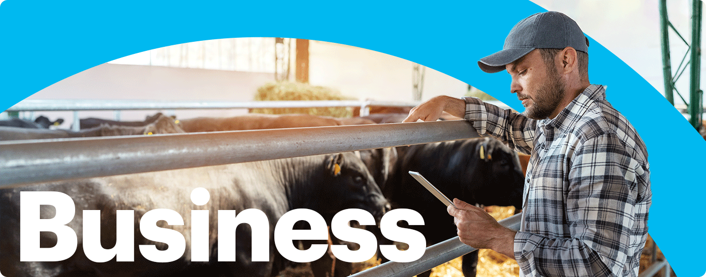 Polly | Get Multiple Insurance Quotes and Save