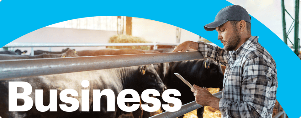 Polly | Get Multiple Insurance Quotes and Save