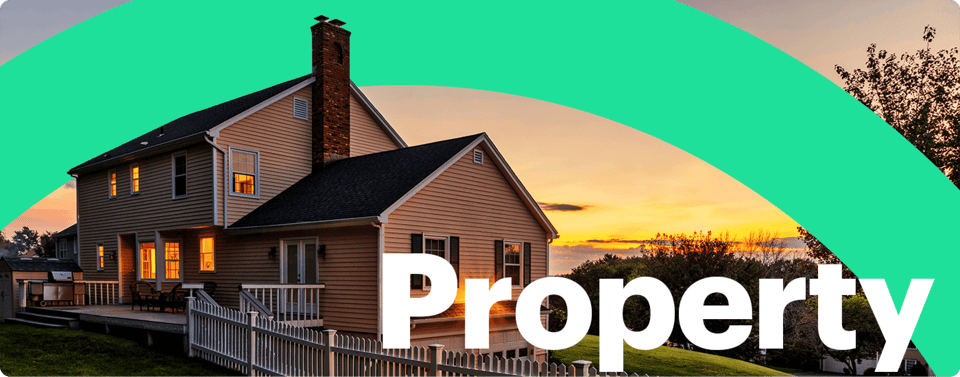 Polly | Get Multiple Insurance Quotes and Save