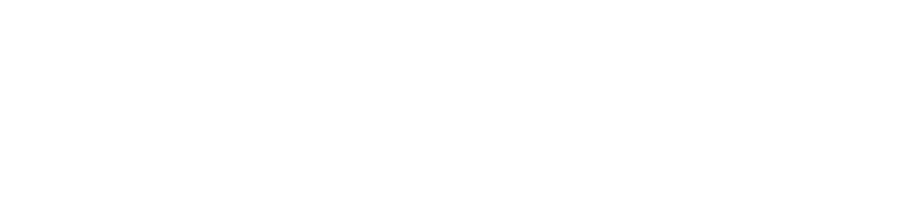 Polly Insurance | Get It Together