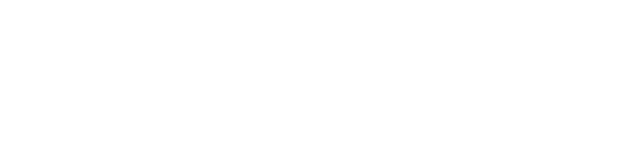 Polly Insurance | Get It Together