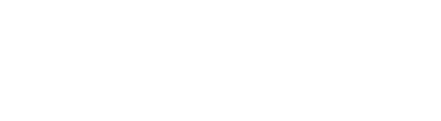 Polly Insurance | Get It Together