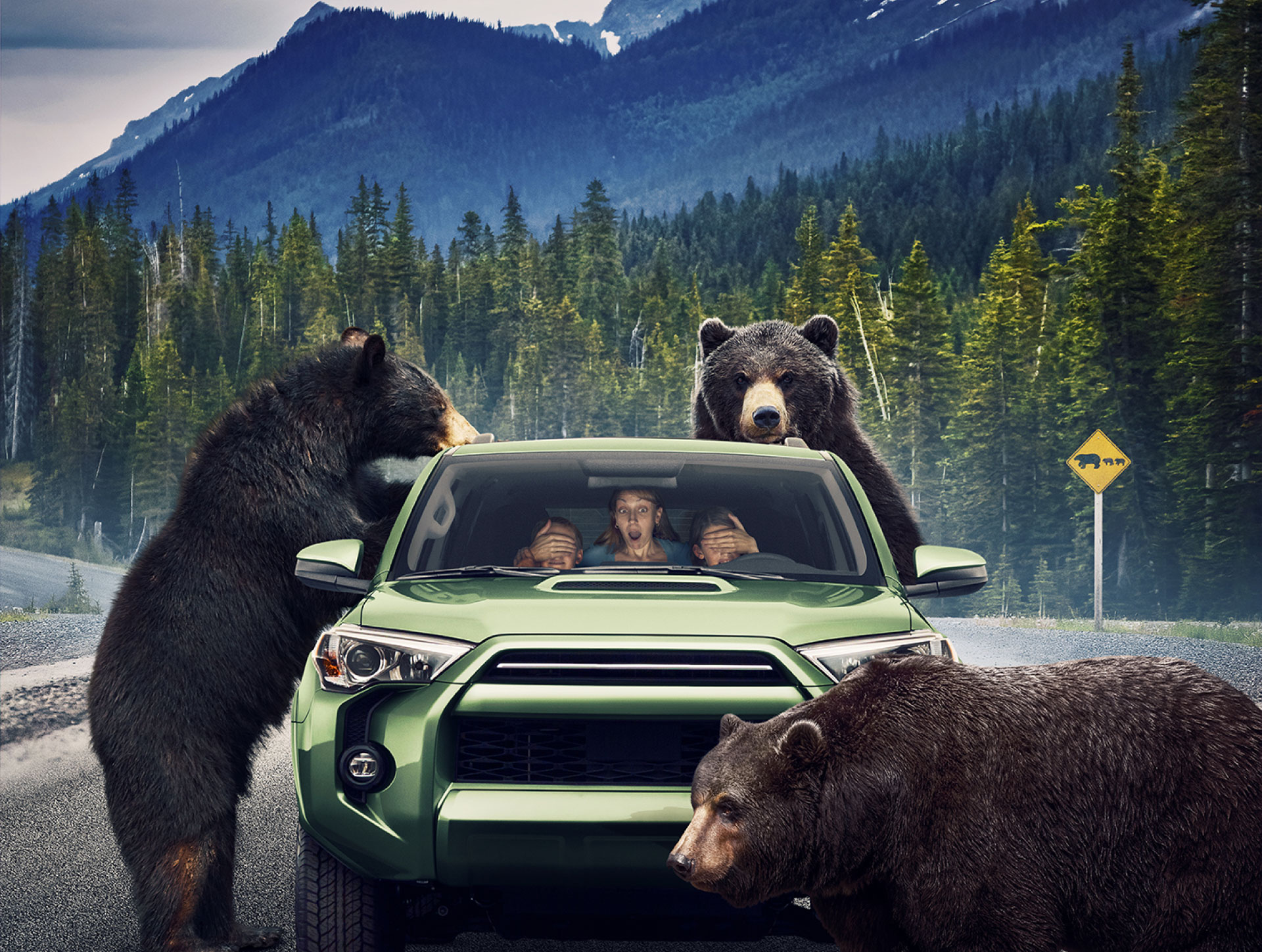 Polly Insurance | Get It Together