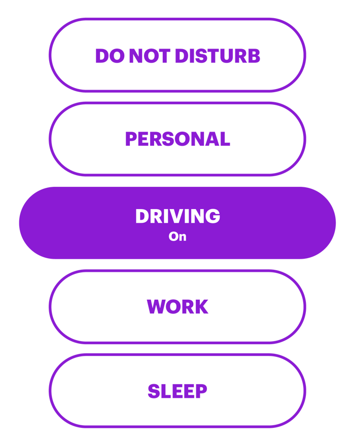 Polly Recognizes National Do Not Disturb While Driving Day